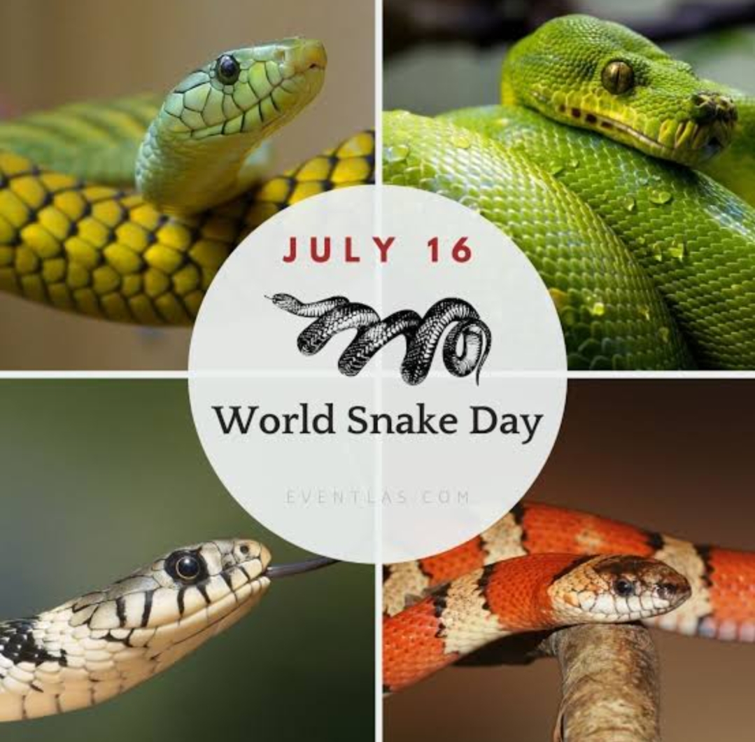 On the occasion of World Snake Day, here are some stunning facts about ...